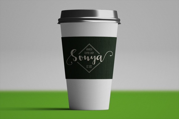 Sonya Script Font by Tegaki · Creative Fabrica