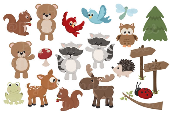 Set of Cute Woodland Animals Graphic by Amanda Ilkov · Creative Fabrica