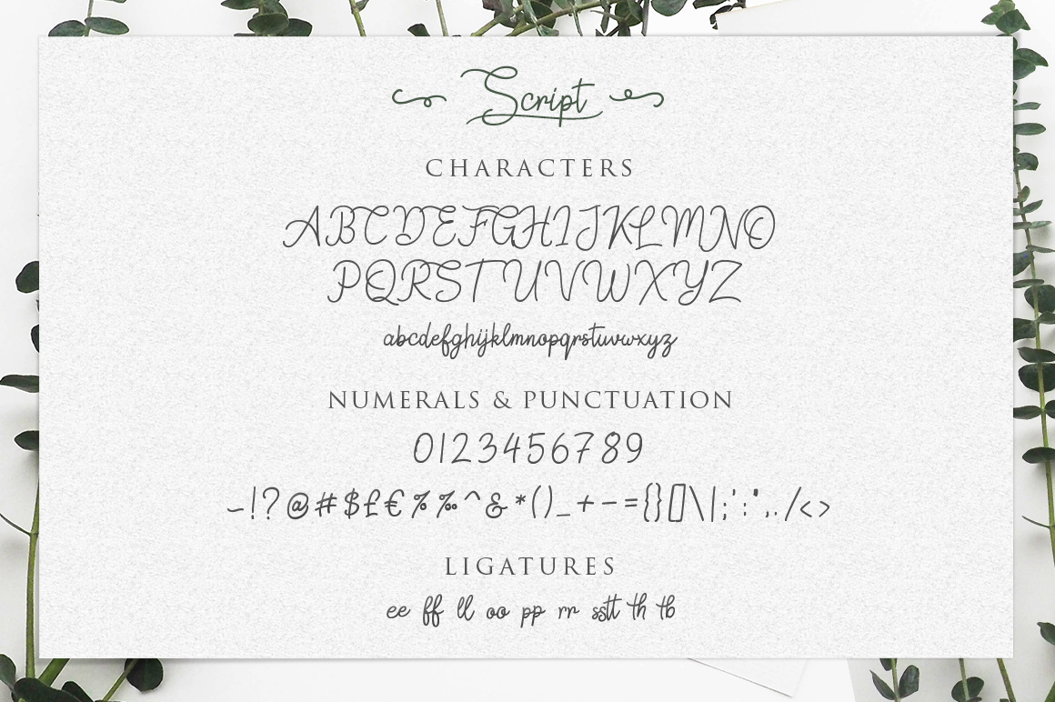 Springfield Font by Weape Design · Creative Fabrica