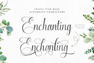 Enchanting Script Font by Salt and Pepper Fonts · Creative Fabrica