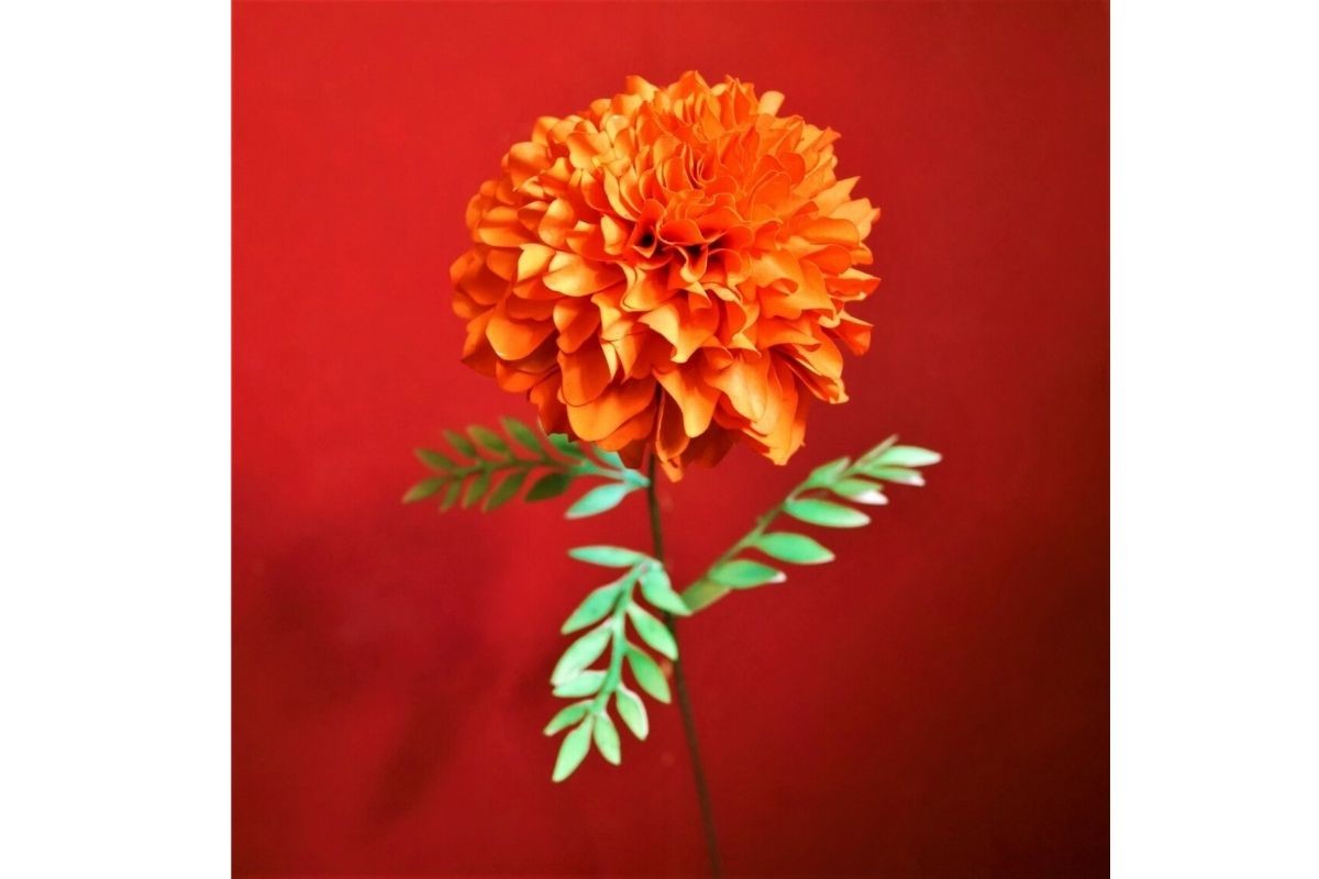 African Marigolds Paper Flowers Templates · Creative Fabrica
