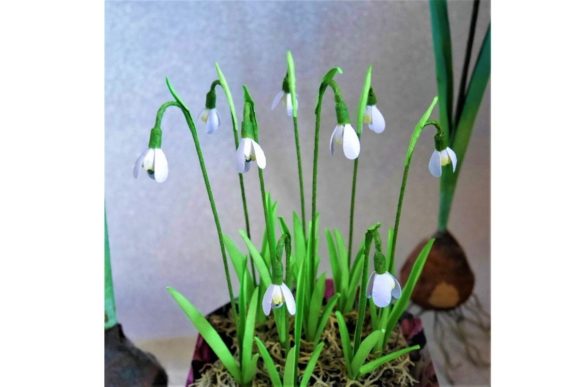 Snowdrop Flower Paper Templates · Creative Fabrica