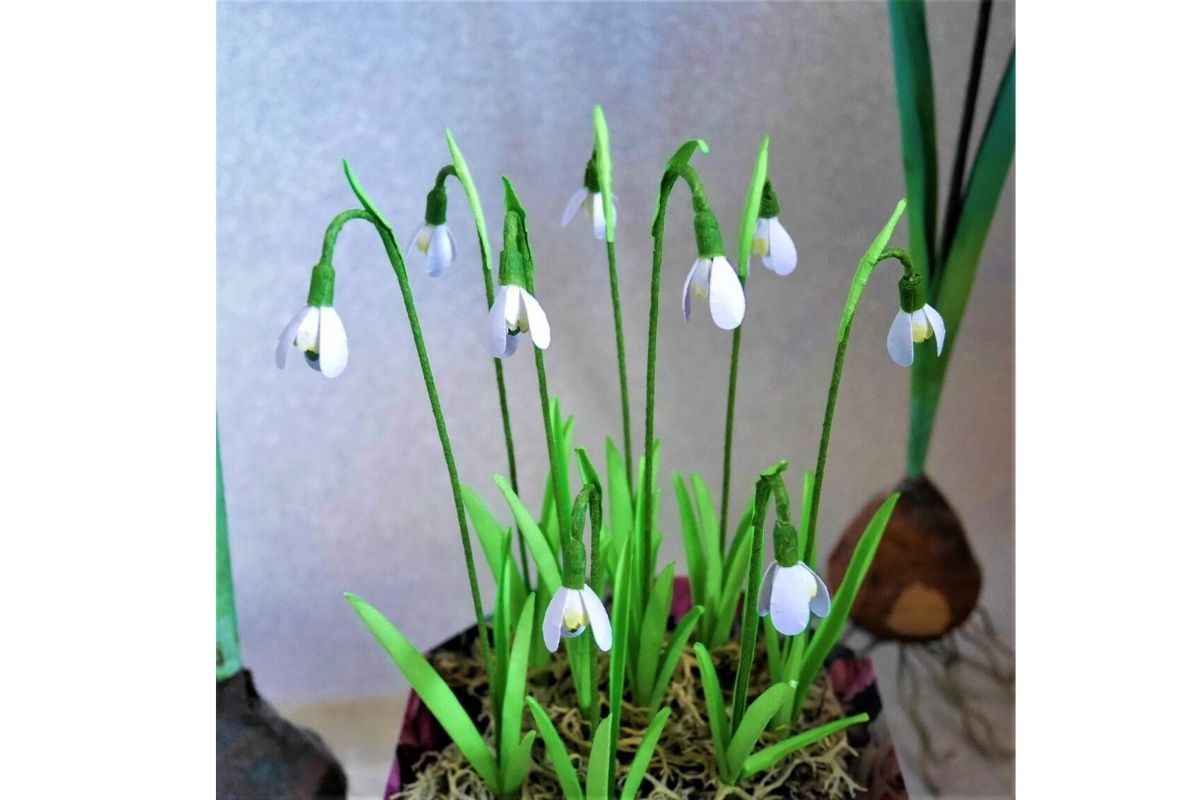 Snowdrop Flower Paper Templates · Creative Fabrica