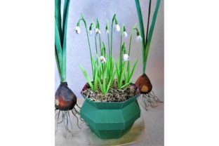 Snowdrop Flower Paper Templates · Creative Fabrica