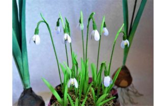 Snowdrop Flower Paper Templates · Creative Fabrica
