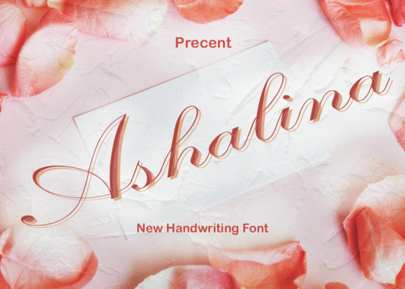 Best Collection 24 Font Bundles Bundle · Creative Fabrica