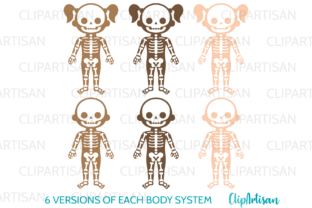 Human Body Systems Clipart Graphic by ClipArtisan · Creative Fabrica