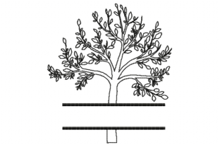 Family Tree Split · Creative Fabrica