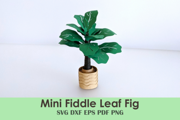 70 Fig Tree Designs & Graphics