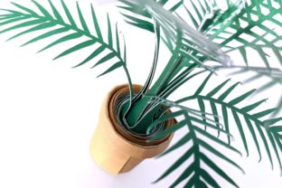 Mini Palm Tree Template · Creative Fabrica