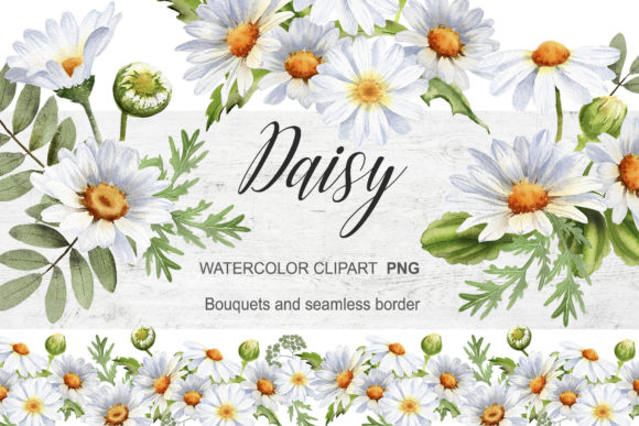 Watercolor Daisy Clipart Chamomile Graphic by WatercolorGardens ...