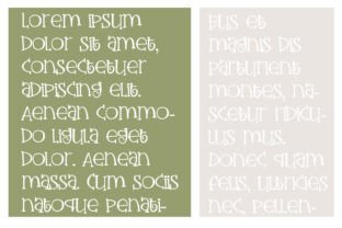 Snicket Font by Illustration Ink · Creative Fabrica