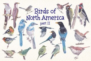 Birds of North America Part 2 Watercolor Graphic by Art & Things ...