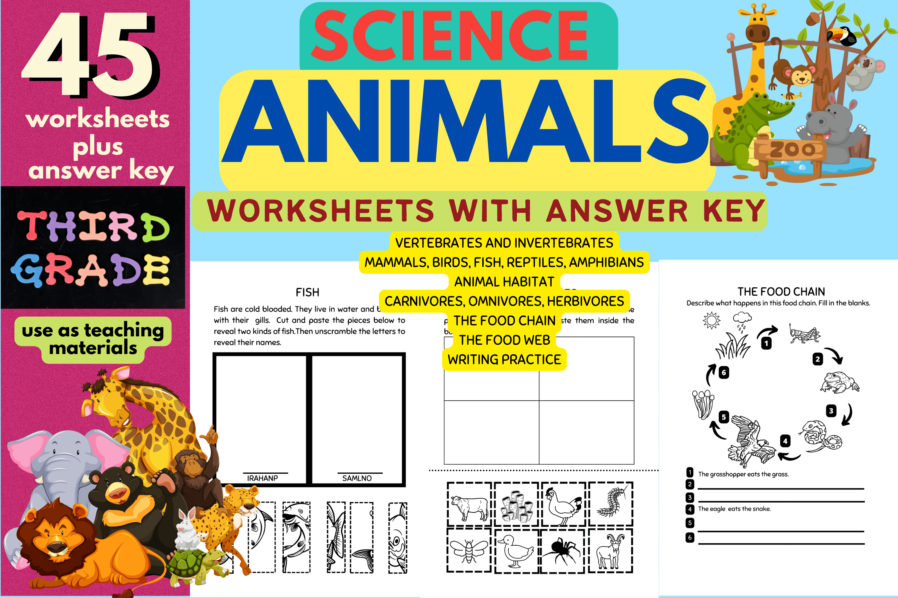 Science: Animals Worksheets: Third Grade Graphic by Charm Creatives ...