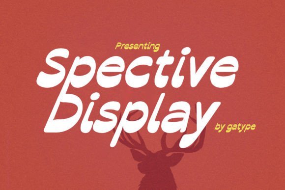 Display & Script Font Collection Bundle · Creative Fabrica
