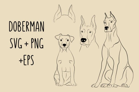 Doberman SVG Bundle Graphic by svgxoxo · Creative Fabrica