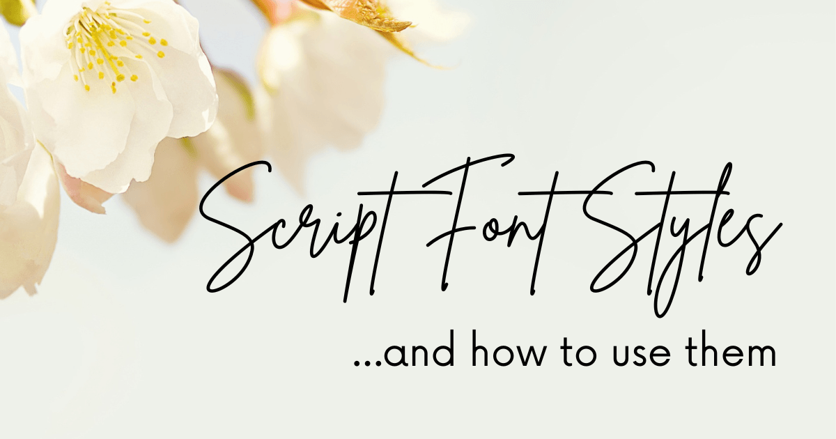 What is a Script font: different styles explained - Creative Fabrica