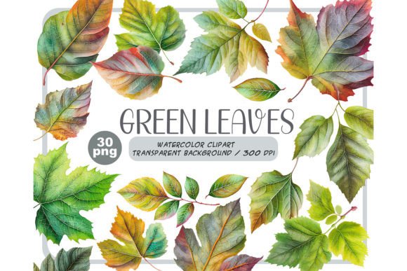 Watercolor Green Leaves Clipart-leaf PNG Graphic by ArtfulStudio ...