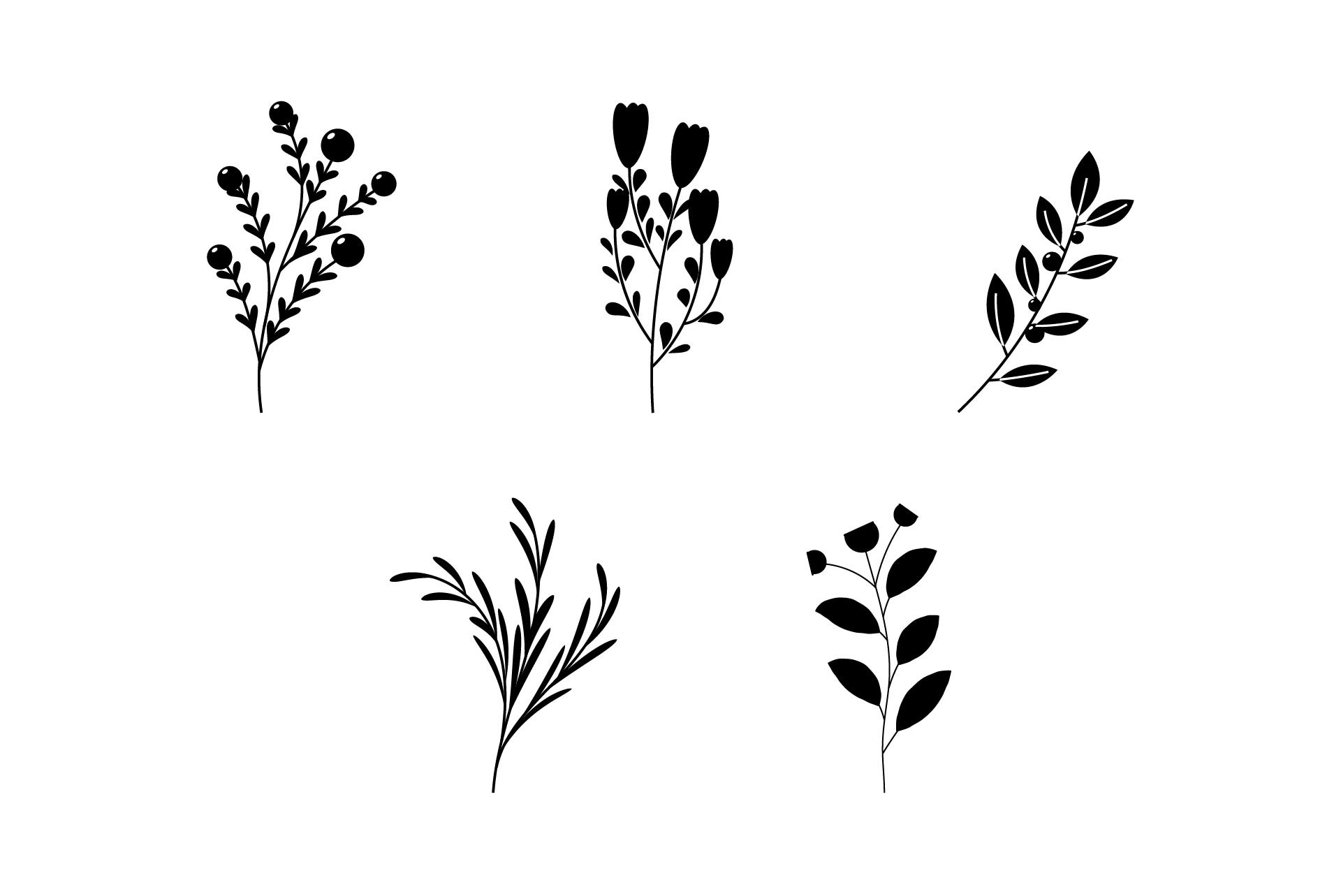 Flower Outline Art Graphic by tinemustudio · Creative Fabrica