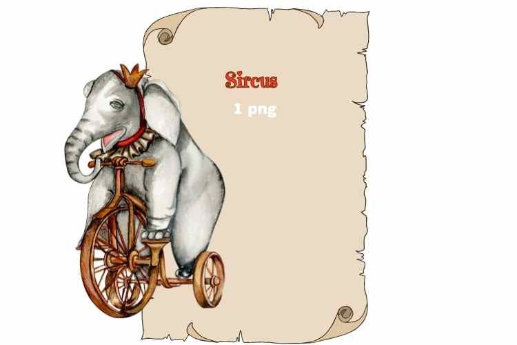 Sircus Clipart Graphic by ArtsByLeila · Creative Fabrica