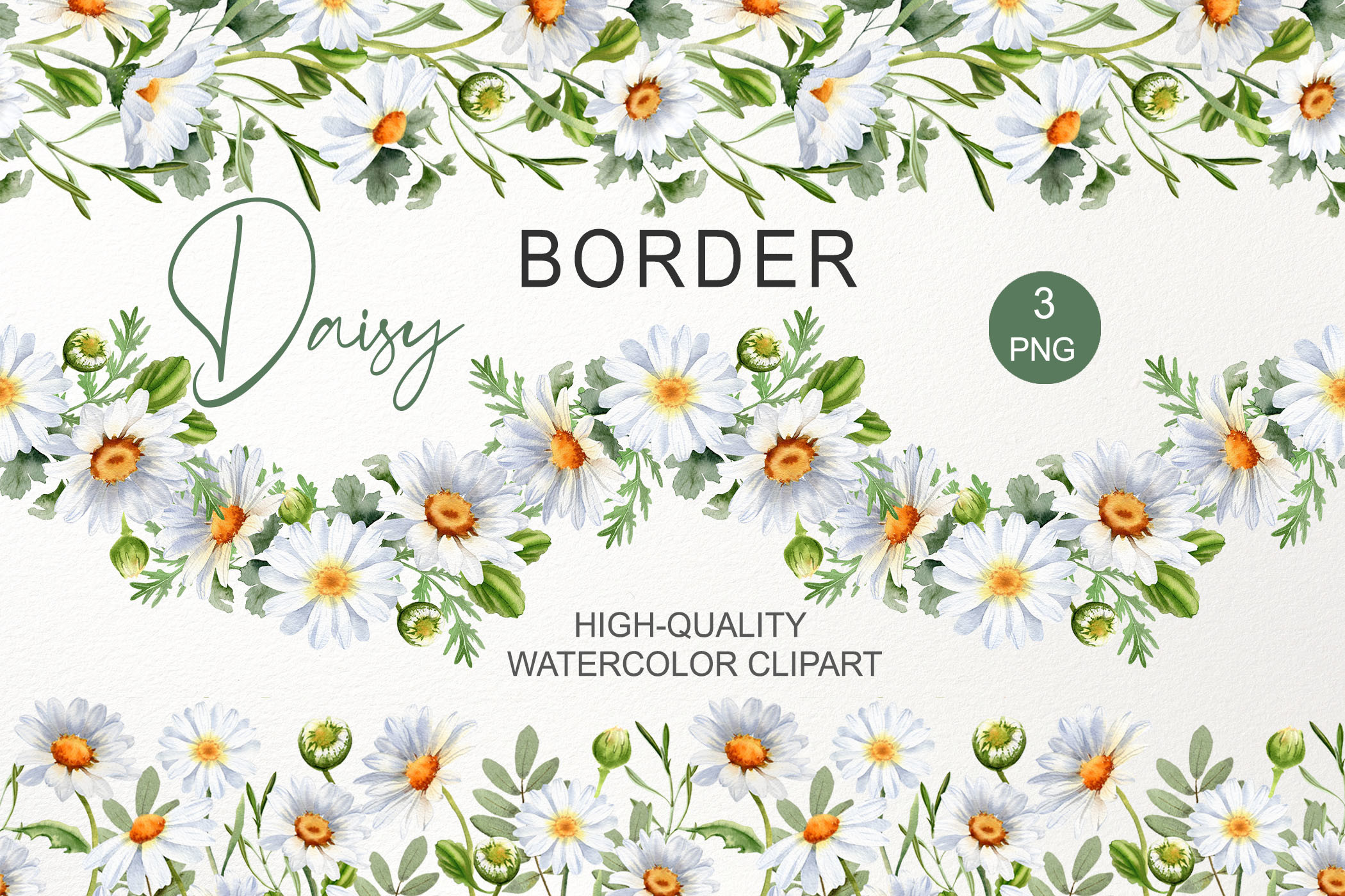 Daisy Flower Border Clipart Graphic by WatercolorGardens · Creative Fabrica