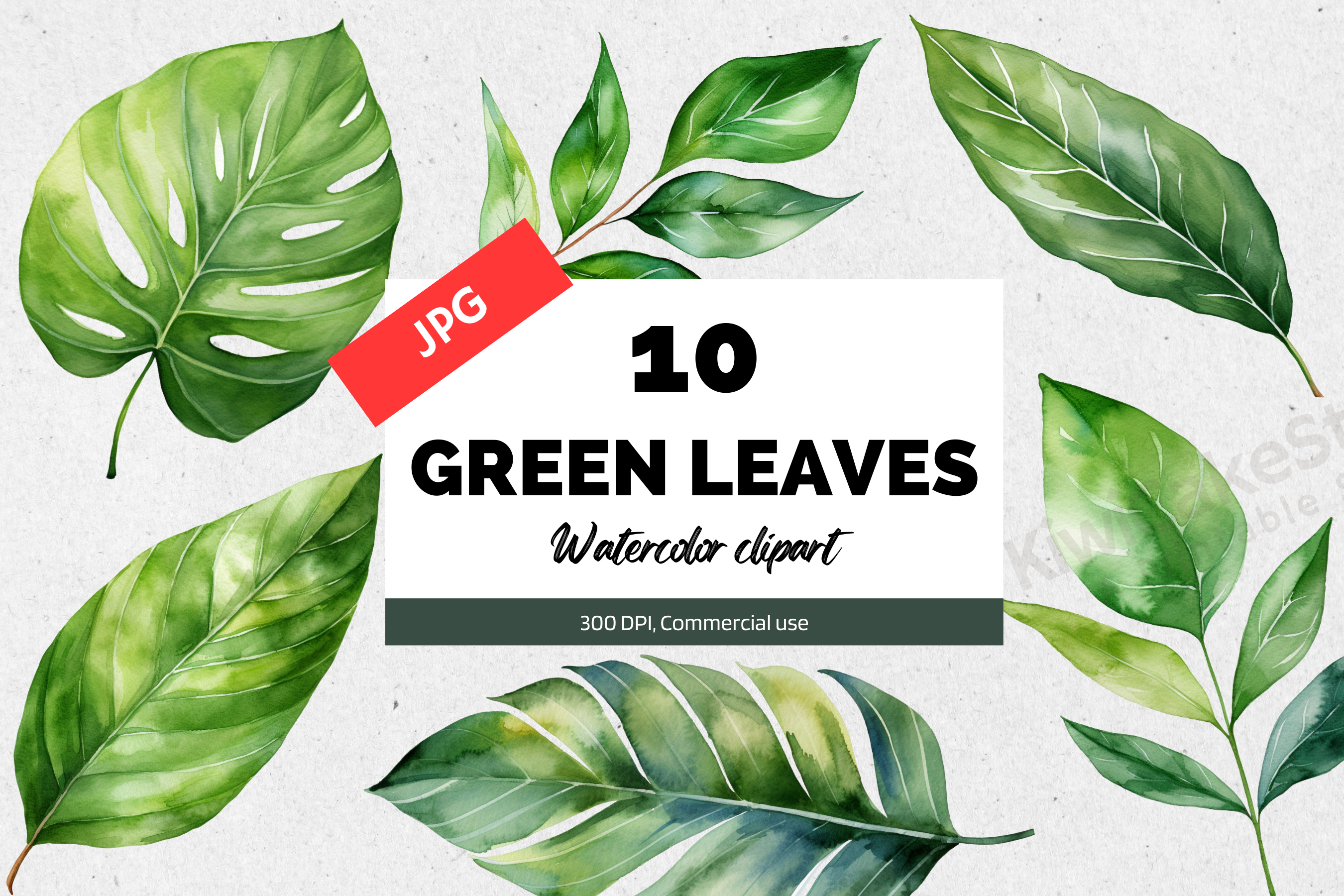 10 Watercolor Green Leaf Clipart JPG Graphic by KiwiCakeStudio ...