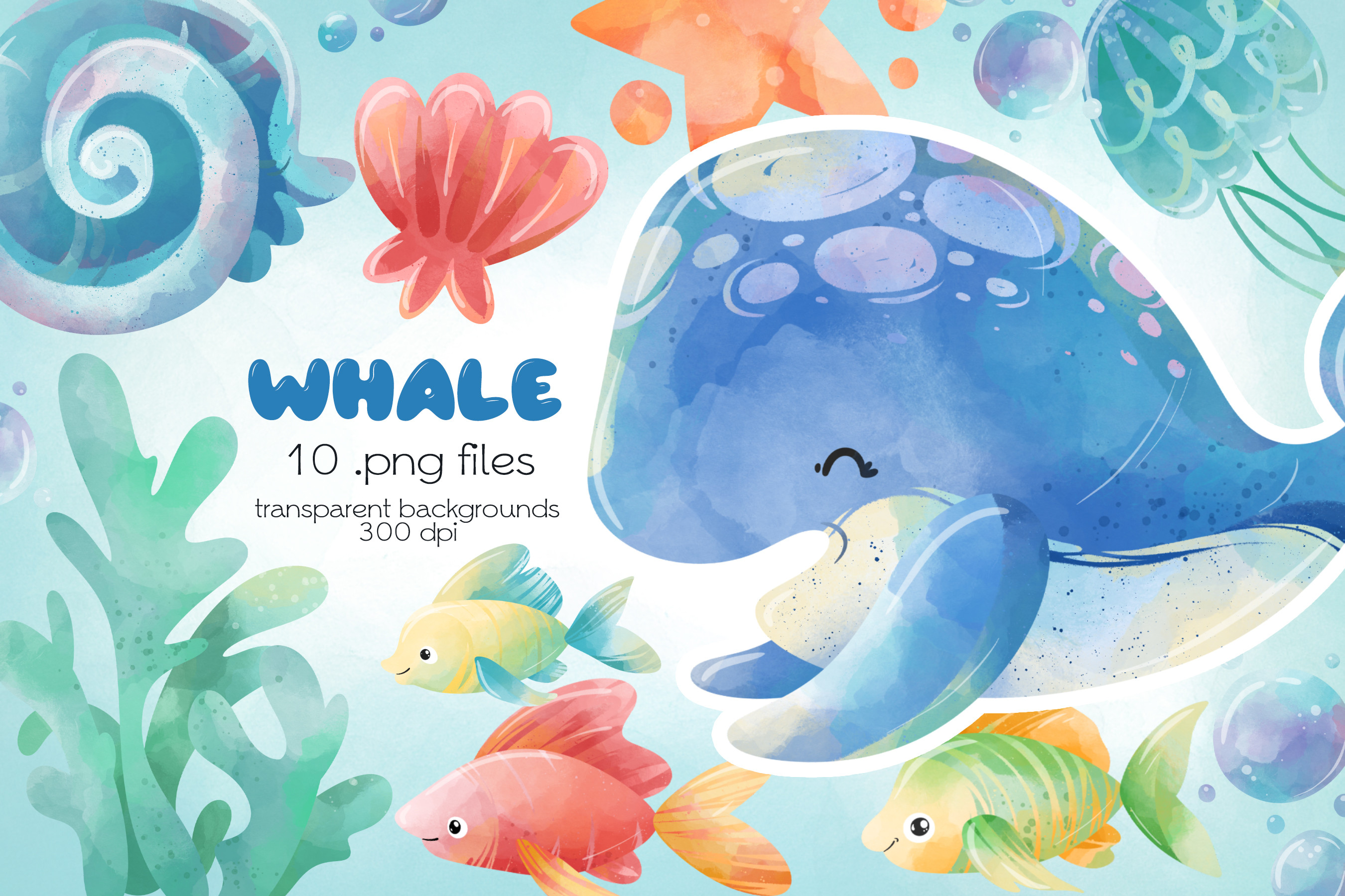 Whale Clipart Graphic by Olly.Ko · Creative Fabrica