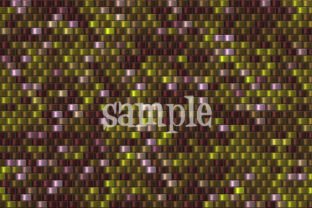 Bead It Seamless Textures Graphic by Heidi Vargas-Smith · Creative Fabrica