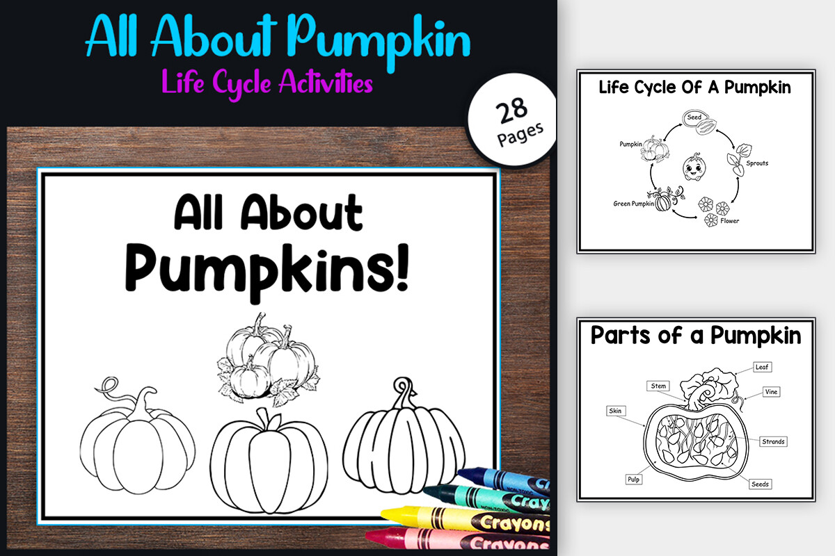 All About Pumpkin Exploration for Kids Graphic by TheStudyKits ...