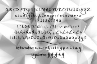 Roflag Stencil Font by Digital Typeface Studio · Creative Fabrica