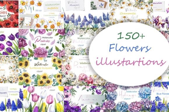 Watercolor Flowers Clipart PNG Bundle Bundle · Creative Fabrica