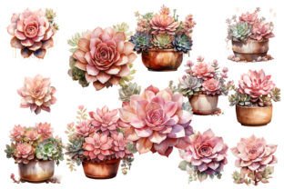 12 Boho Succulents Clipart PNG Graphic by printztopbrand · Creative Fabrica