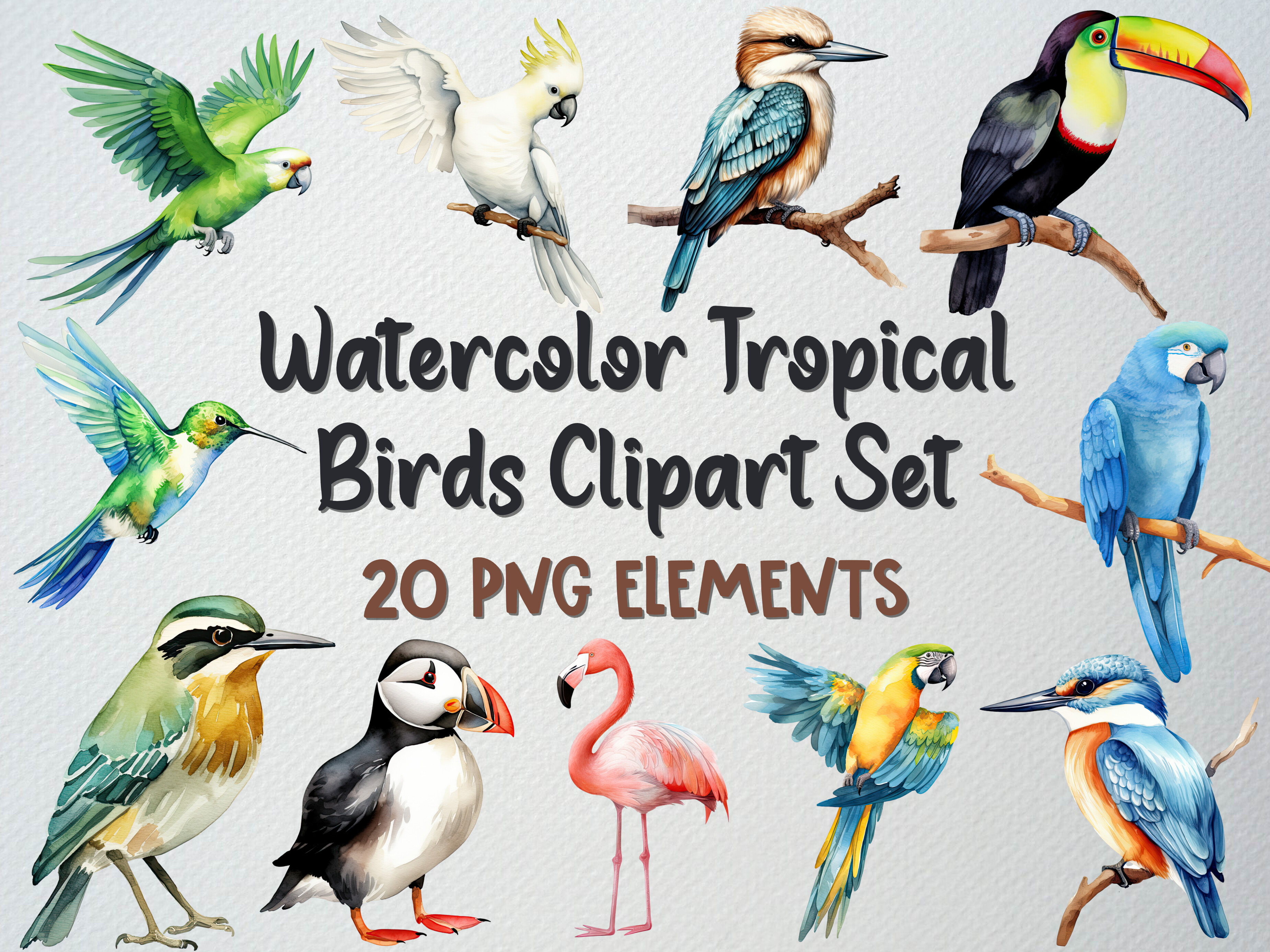 Watercolor Tropical Birds Clipart Set Graphic by beyouenked · Creative ...