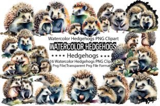 Watercolor Hedgehogs PNG Bundle Graphic by PrintExpert · Creative Fabrica