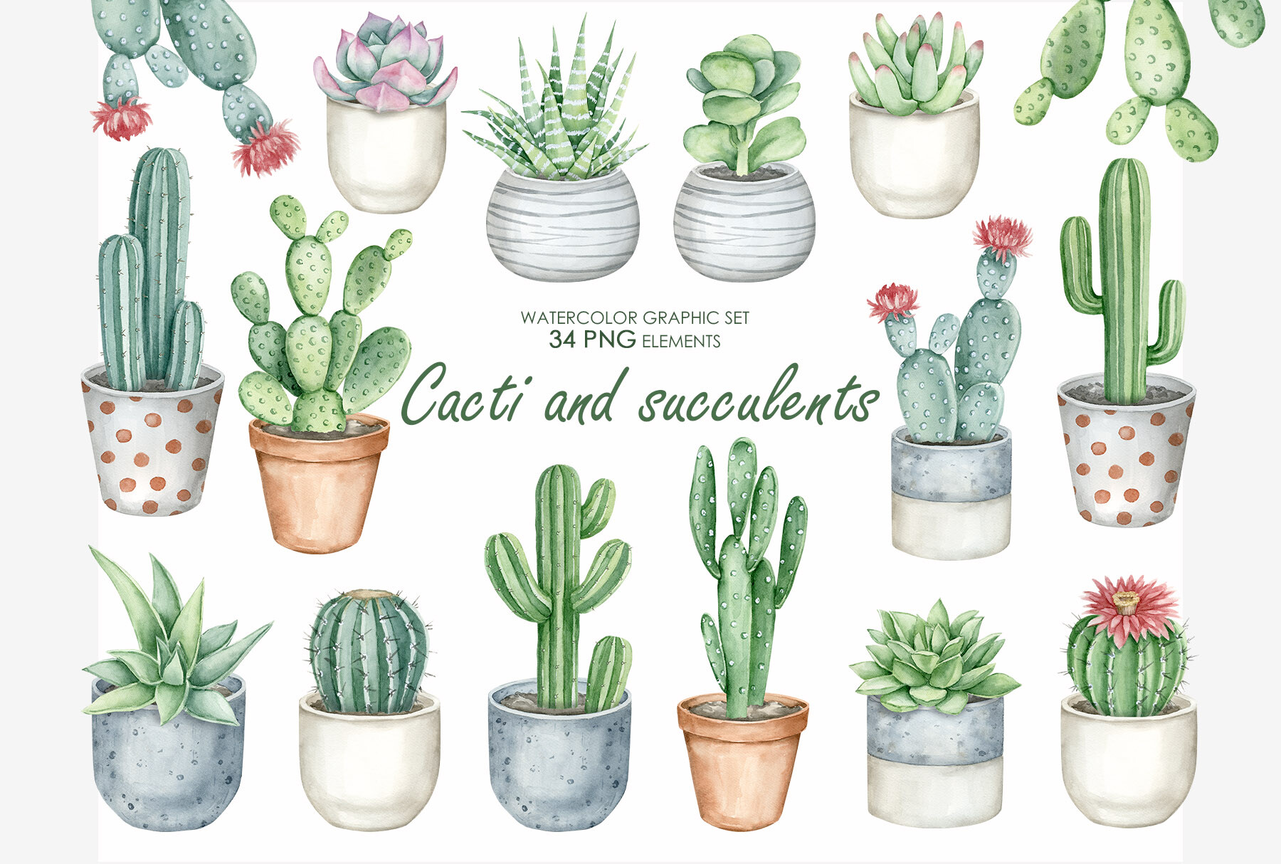 Watercolor Cactus and Succulents Clipart Graphic by Aquarelle Space ...