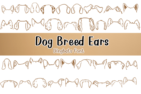 Dingbats Fonts - Best Dingbat Fonts [2026] - Creative Fabrica