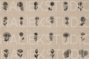 Daisy Procreate Stamp Brush Set Graphic by HalieKStudio · Creative Fabrica