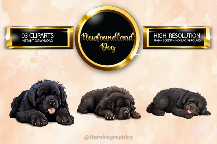 Newfoundland Dog Clipart Bundle Graphic by Hurairagraphics · Creative ...