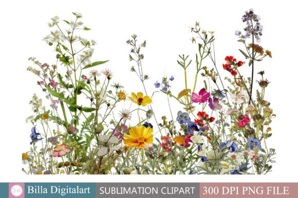 Free Watercolor Butterfly Clipart Graphic by BillaDigitalart · Creative ...
