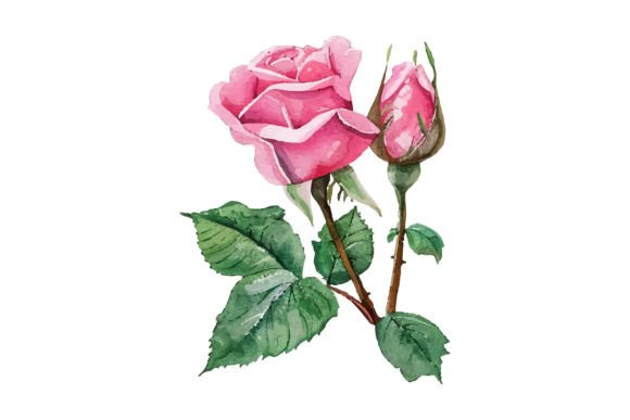 Watercolor Pink Floral Clipart Bundle Graphic by Nayem Khan · Creative ...