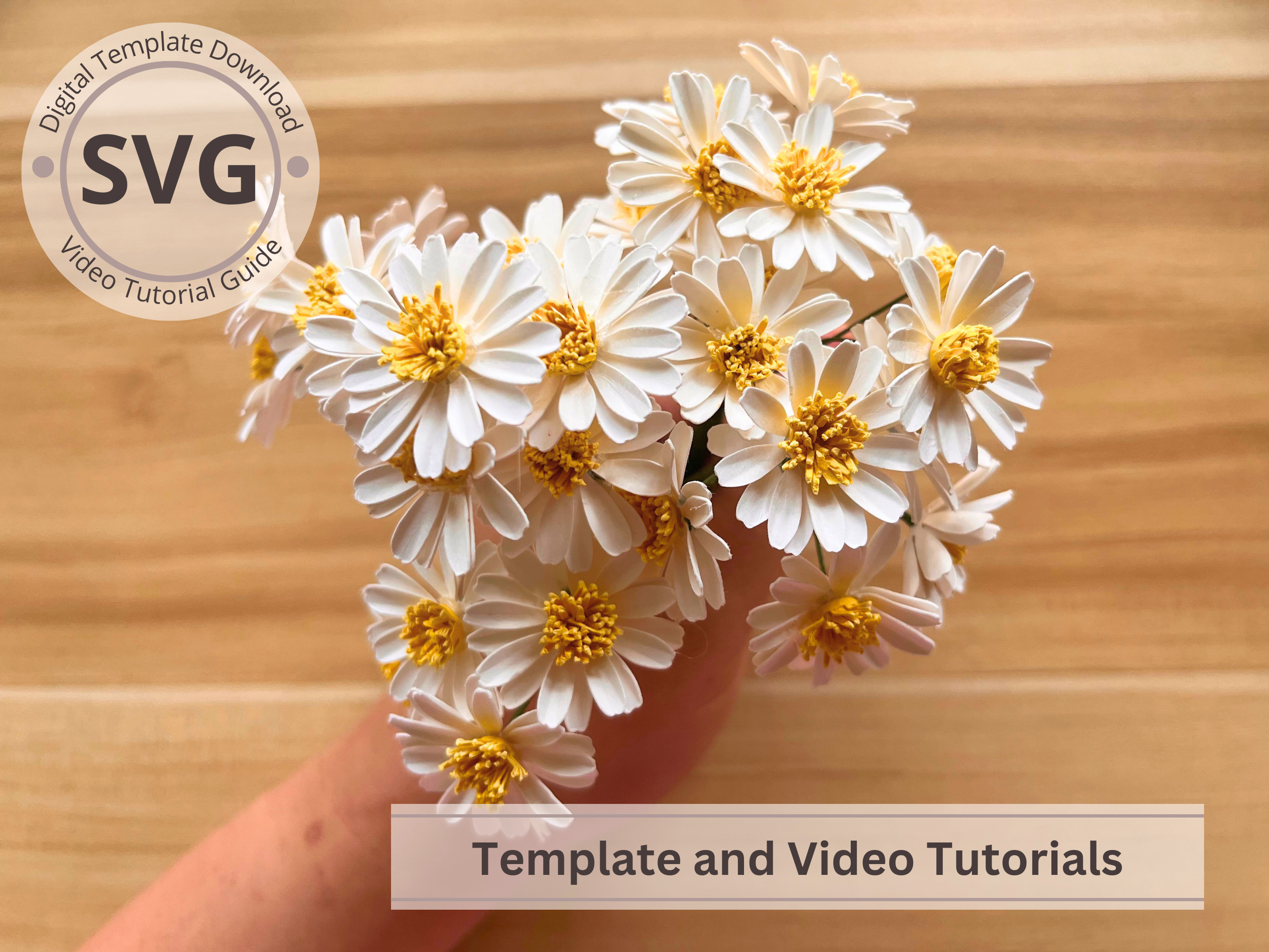 Paper Flower SVG : Chamomile Template Graphic by Bloomingdale ...