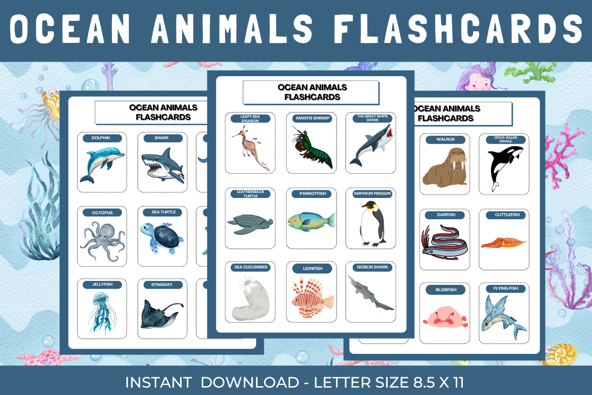 Ocean Animals Visual Learning Flashcards Graphic by DigiGrove ...