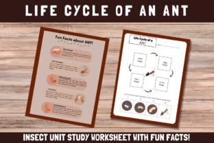 Life Cycle of an Ant, Insects Worksheet Graphic by DigiGrove · Creative ...