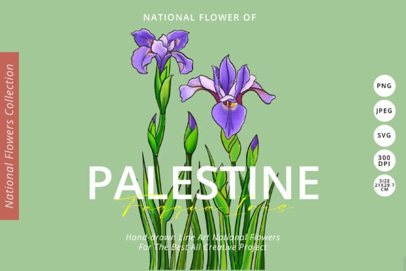 National Flower of Kuwait Graphic by Hanatist Studio · Creative Fabrica