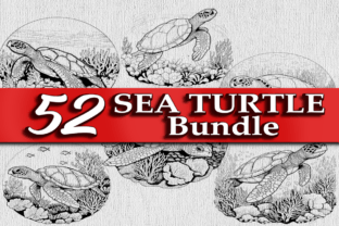 Sea Turtle Vector Bundle SVG PNG EPS DXF Graphic by First Edition ...