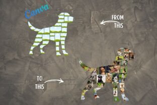 Labrador Retriever Dog Photo Collage Graphic by Digital Neverland ...