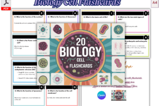 🧬 20 Biology Cell Flashcards Grafika przez Nora as · Creative Fabrica