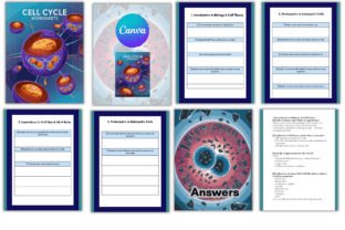 🧬 Cell Cycle Worksheets with Answers Gráfico por Nora as · Creative Fabrica
