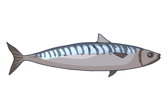 Mackerel Cartoon Icon. Ocean Fish. Aquat Graphic by onyxproj · Creative ...