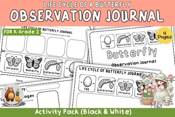 Life Cycle of a Butterfly Observation Graphic by METINEE ART WORK ...